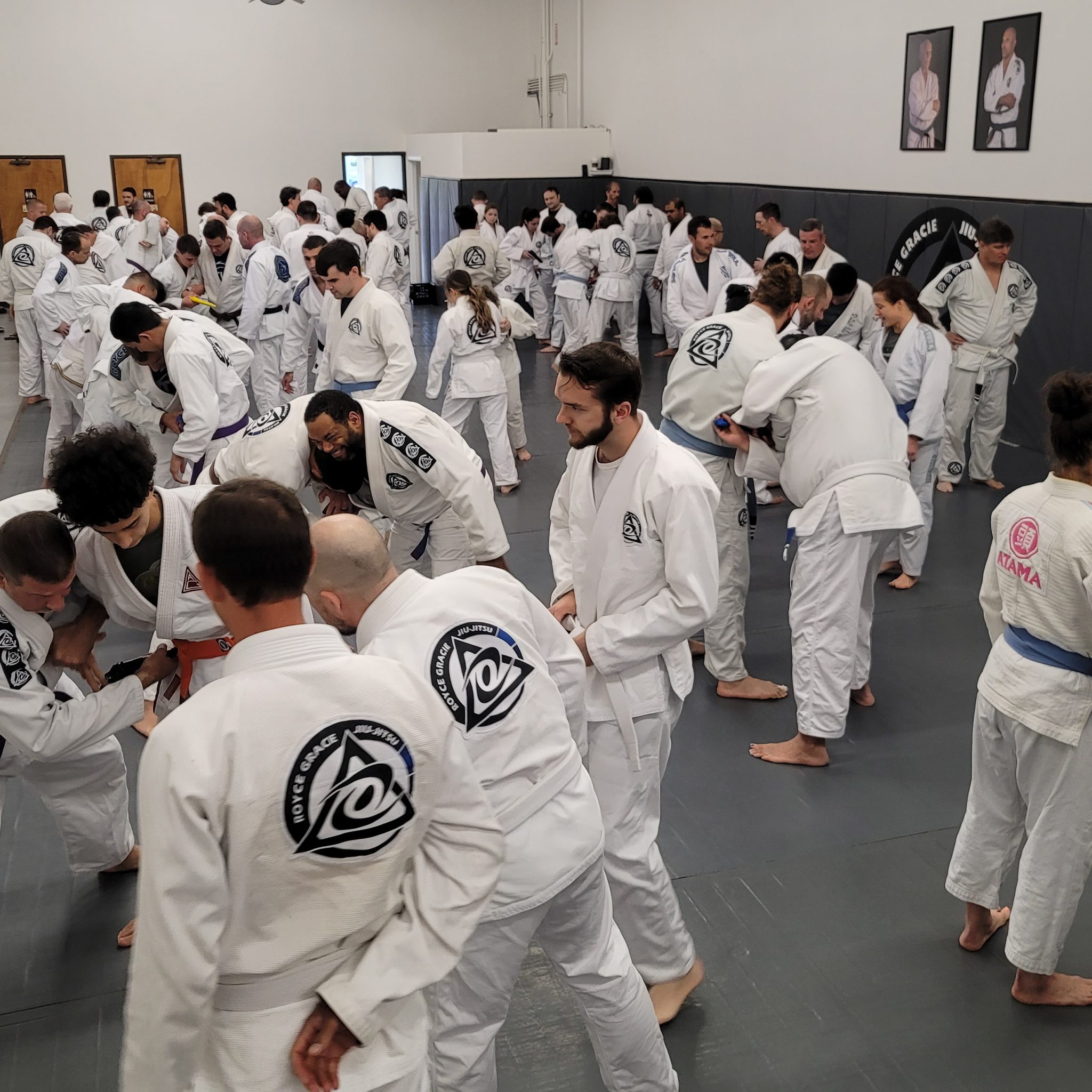 Royce Gracie Jiu Jitsu Academy - Brazilian Jiu Jitsu Raleigh NC
